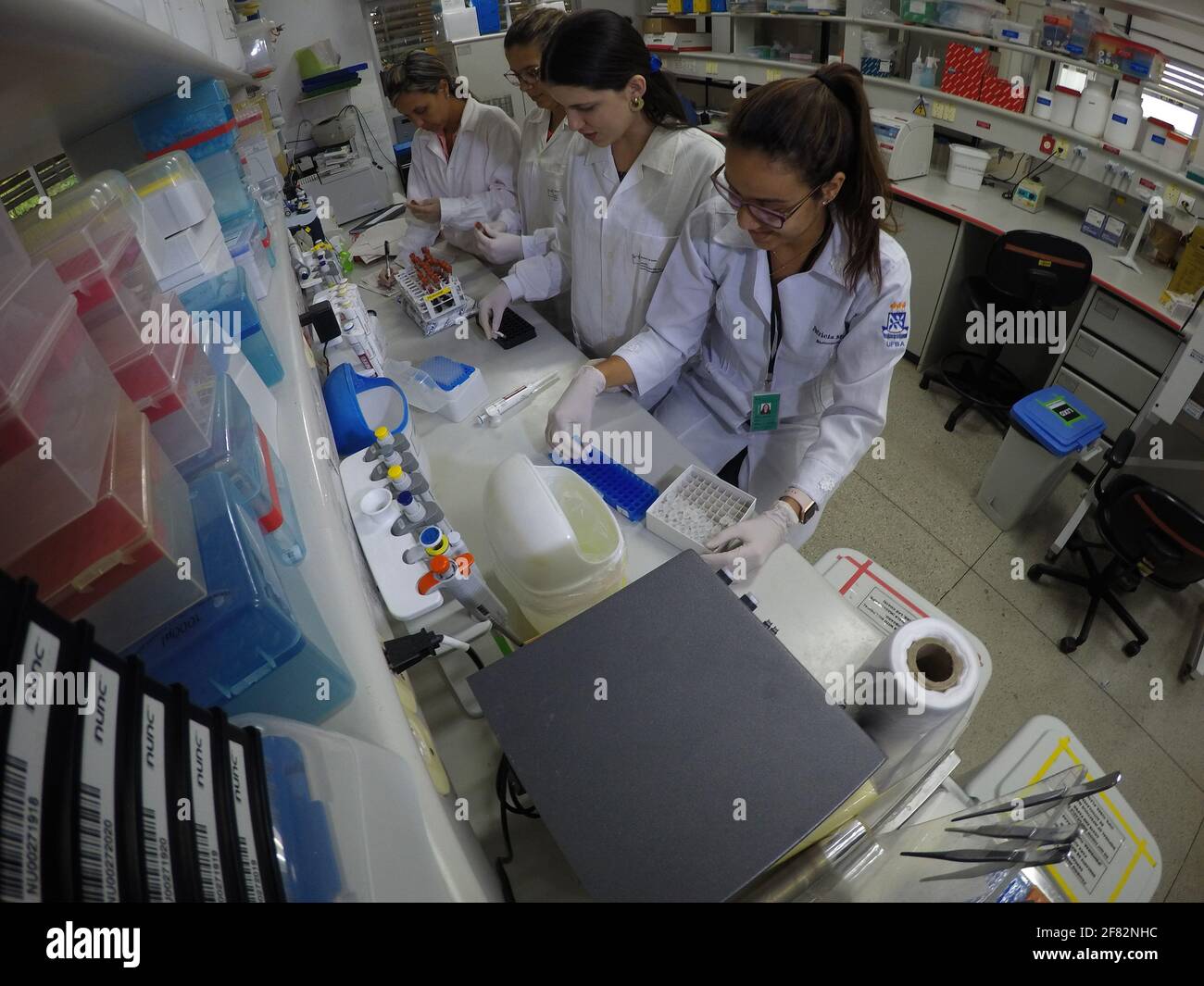 Malaria mosquito laboratory hi-res stock photography and images - Alamy