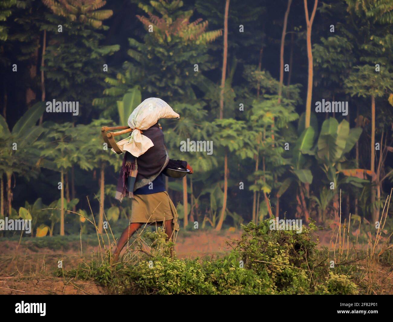 Man carrying sack on head hi-res stock photography and images - Alamy