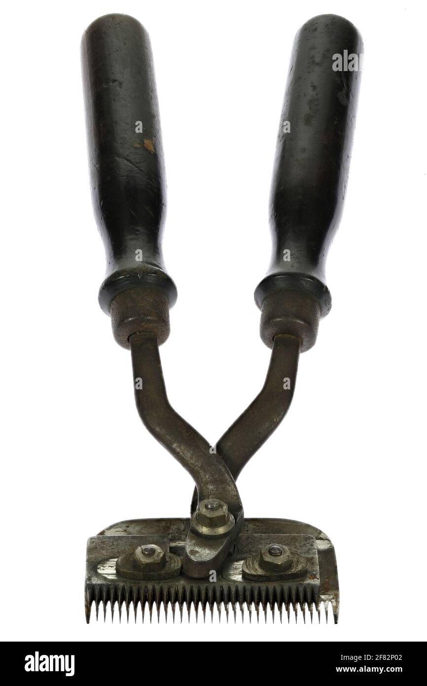 vintage two hand sheep clipper isolated on white background Stock Photo ...