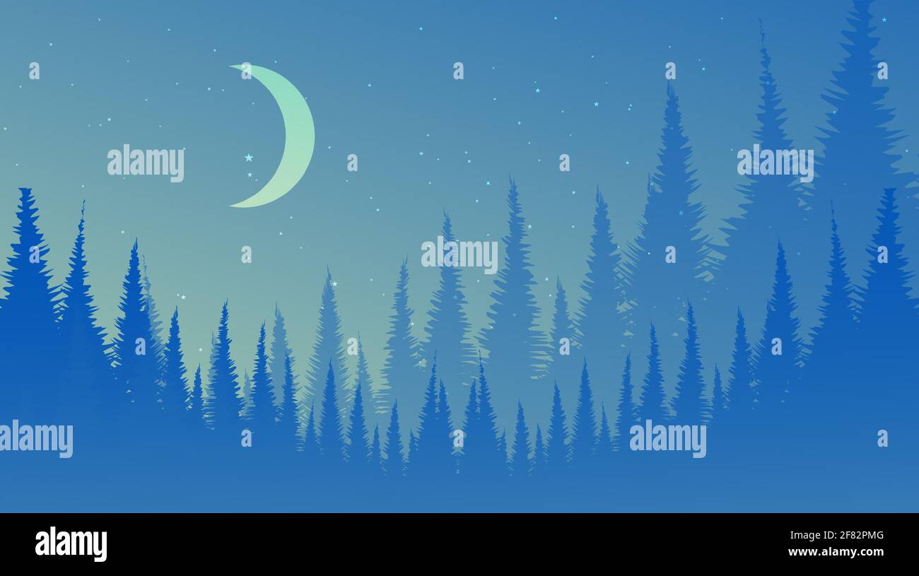 Vector Night Pine Forest,landscape background,foggy and mist concept ...