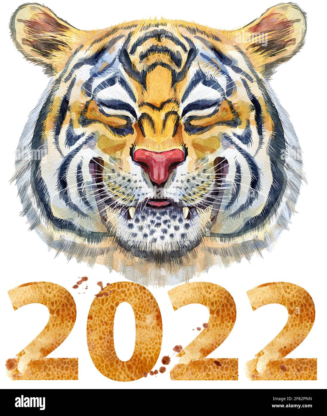 Tiger Watercolor High Resolution Stock Photography and Images - Alamy