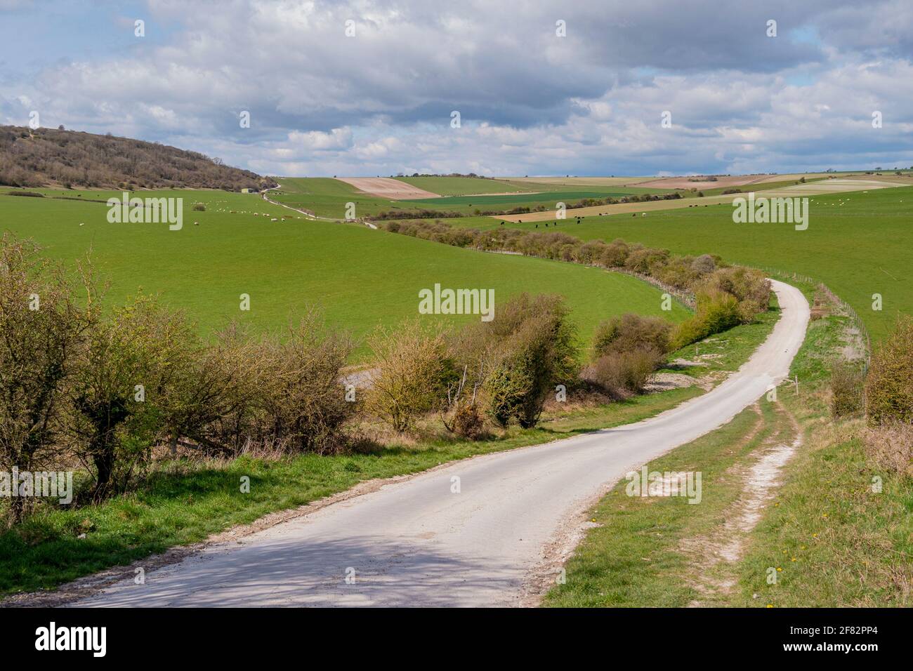 Farm track / footpath heading west towards Cissbury Ring in the South ...