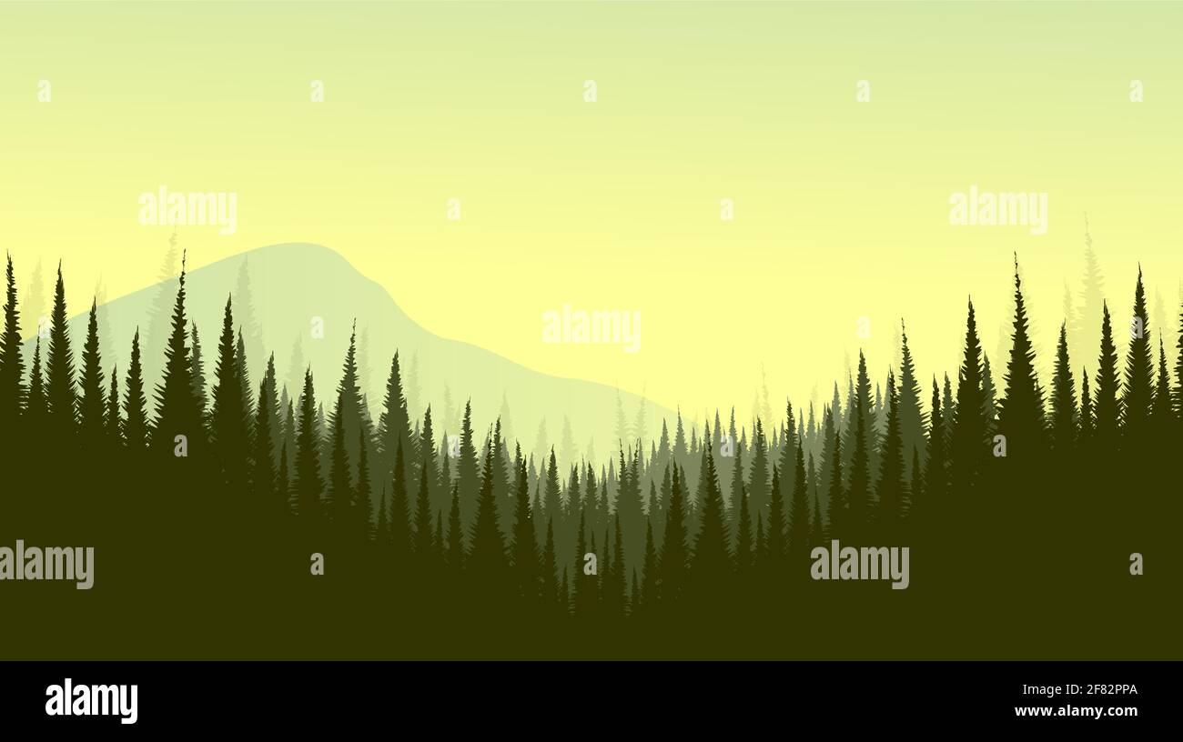 Vector Mountain landscape with Pine Forest,foggy and mist concept ...