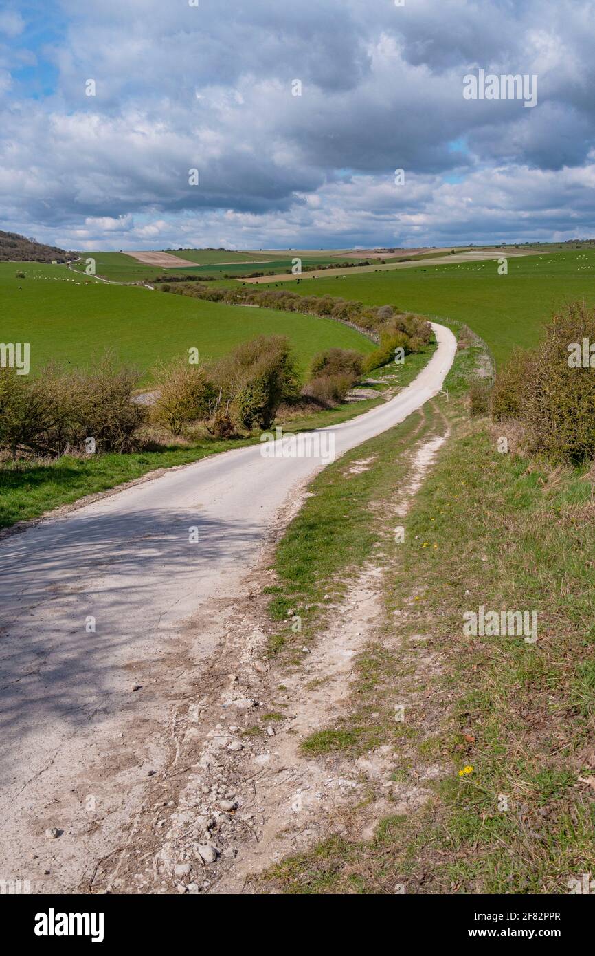 Farm track / footpath heading west towards Cissbury Ring in the South ...