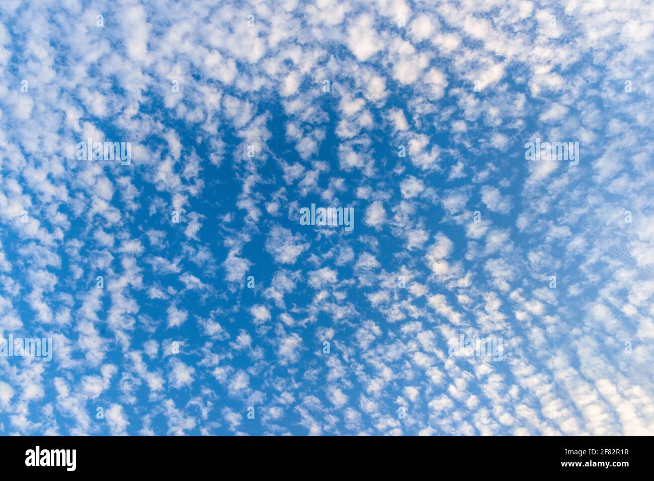 Cumulus clouds on blue sky like background Stock Photo - Alamy