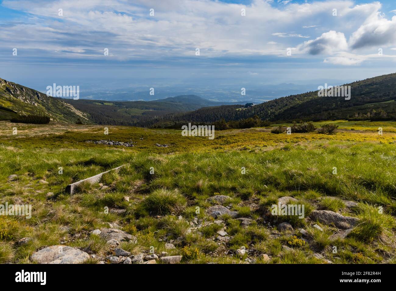Panorama of Giant Mountains next to trail to Sniezka Stock Photo - Alamy
