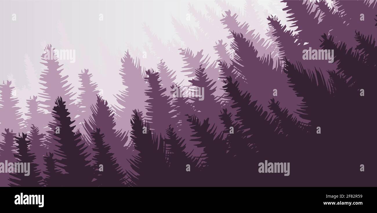 Vector Pine Forest,landscape background,foggy and mist concept design ...