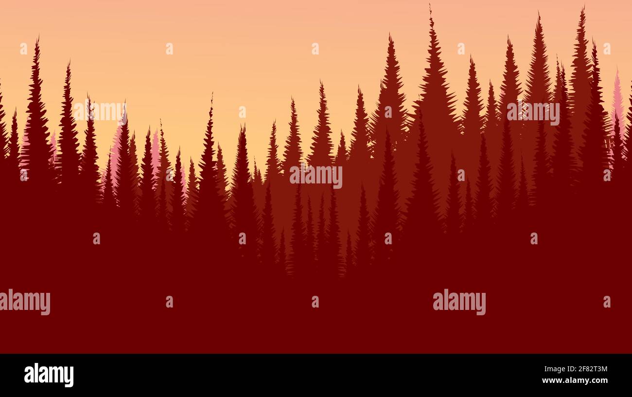 Vector Pine Forest,landscape background,sunshine and sunrise concept ...