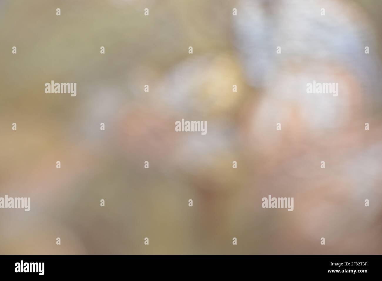 gradient brown background for wallpapers and graphic designs, blurred ...