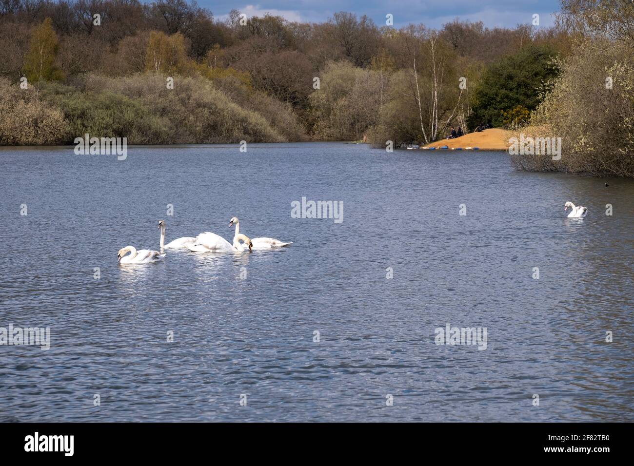 Hollow ponds epping forest hi-res stock photography and images - Alamy
