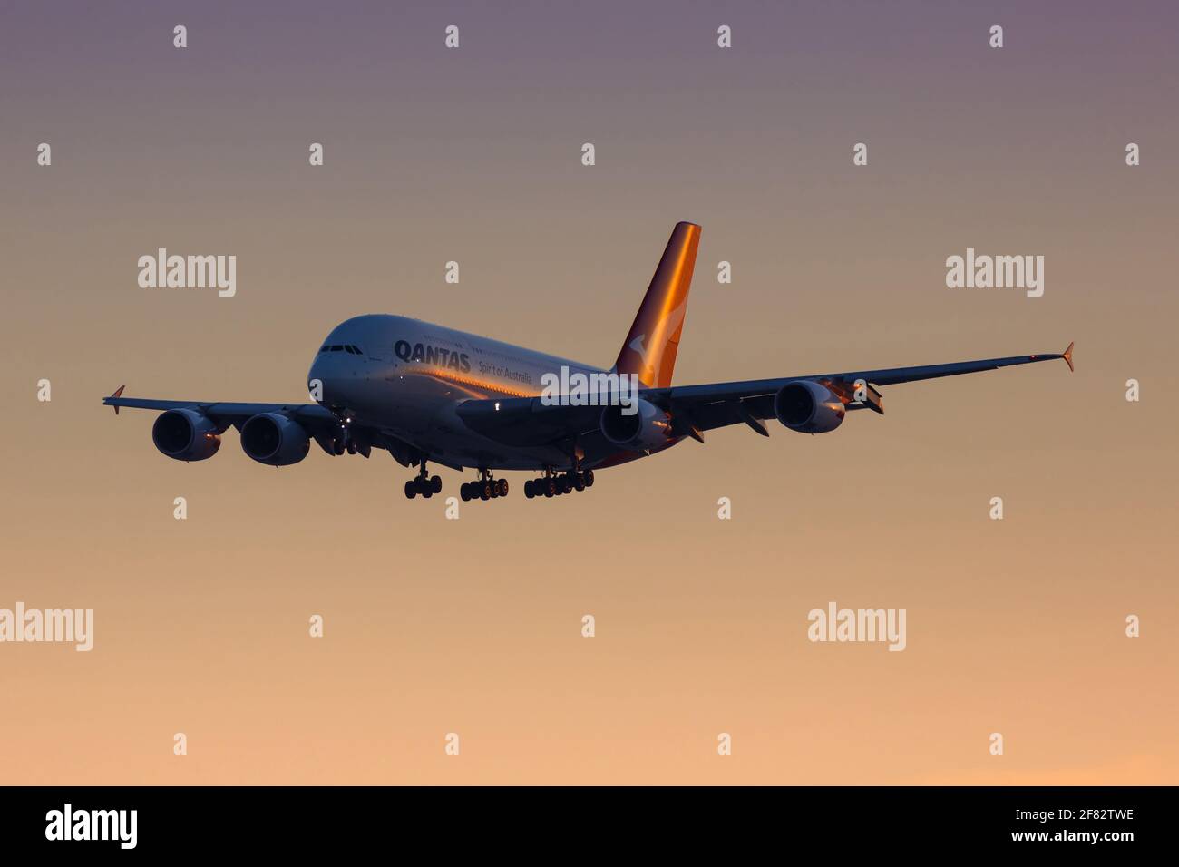 Los Angeles, USA - 21. Februar 2016: Los Angeles, USA – 20. February ...