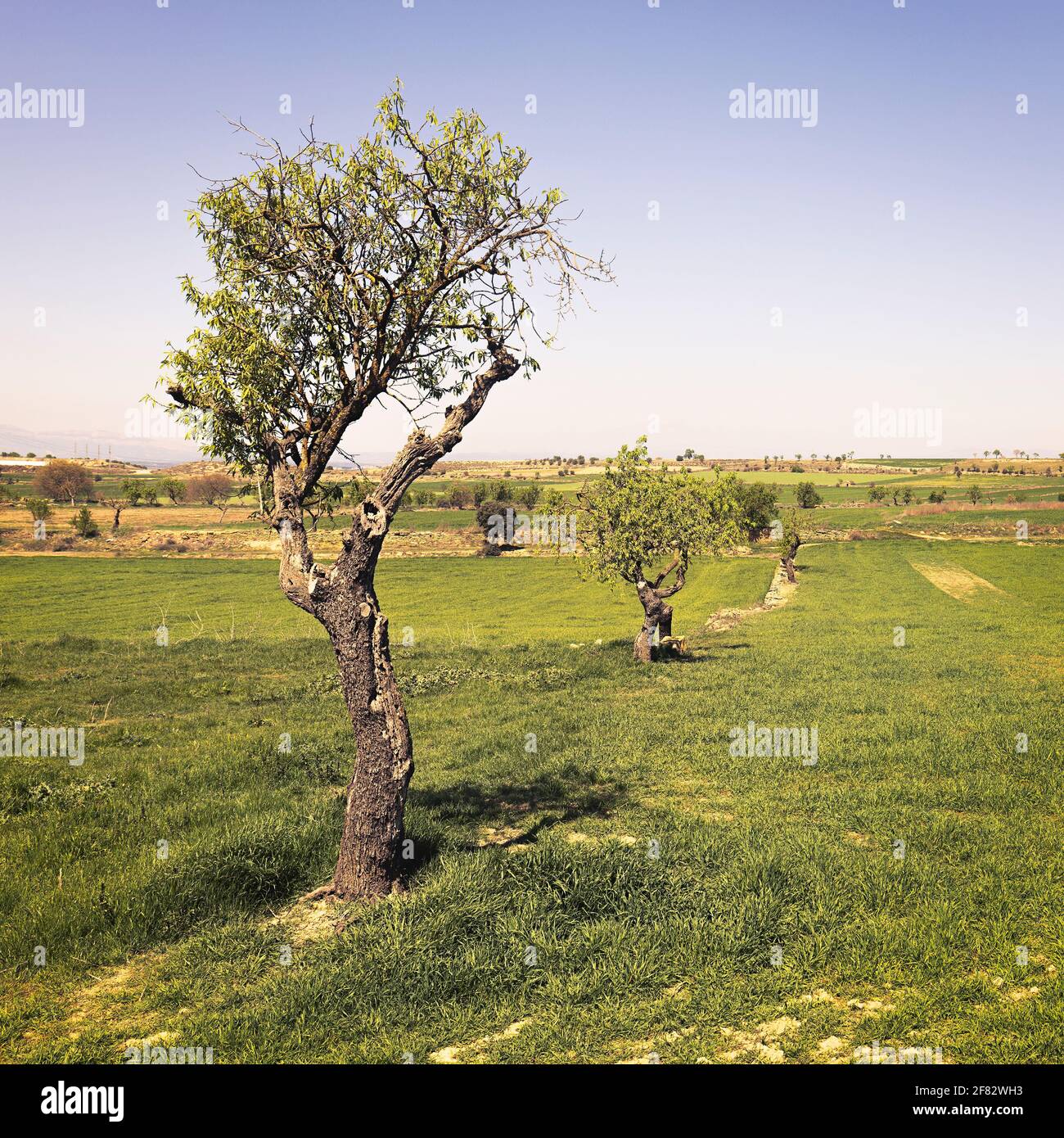Spain catalonia la segarra hi-res stock photography and images - Alamy
