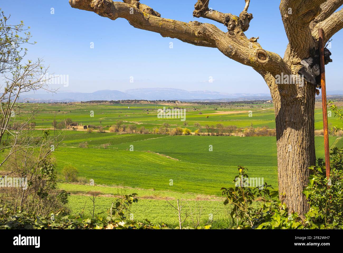 Catalonia landscape hi-res stock photography and images - Alamy