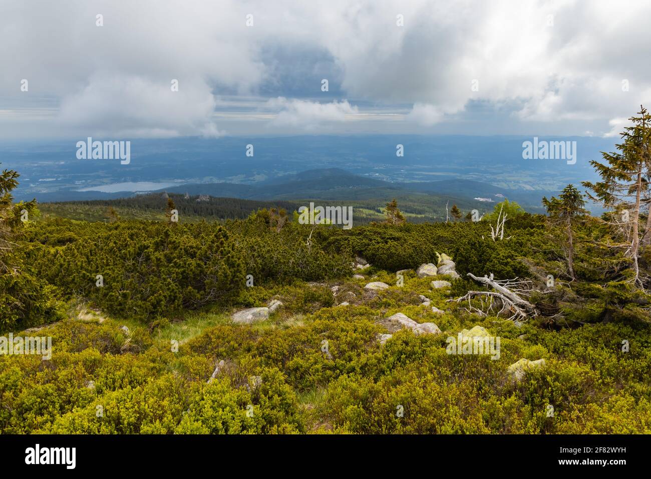 Panorama of Giant Mountains next to trail to Sniezka Stock Photo - Alamy