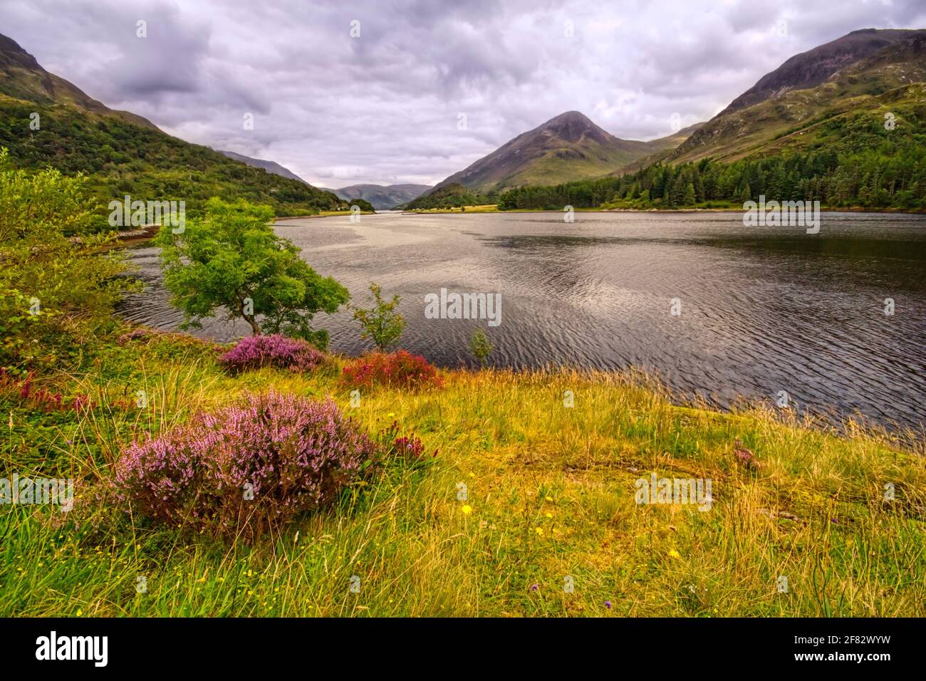 Scottish lochs hi-res stock photography and images - Alamy