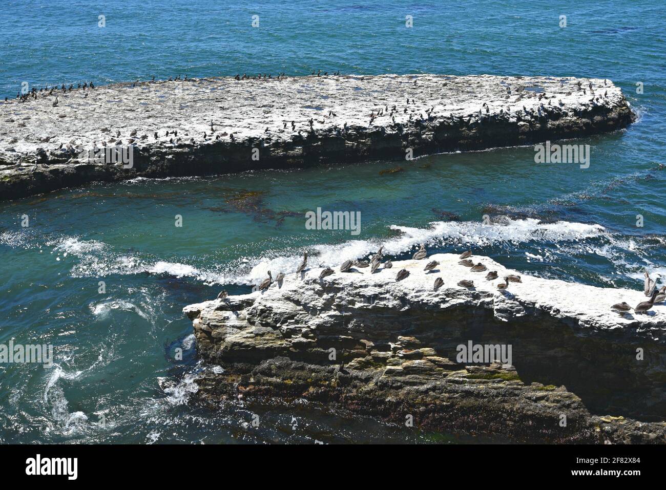 Seascape with scenic view of Fern Grotto Cave Beach a birdwatching ...