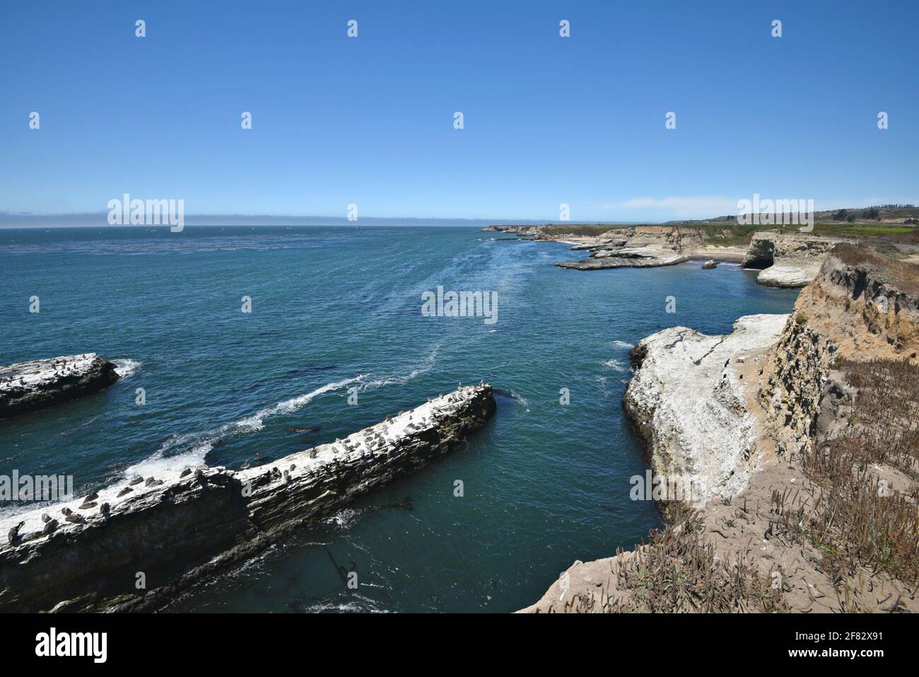 Seascape with scenic view of Fern Grotto Cave Beach a birdwatching ...