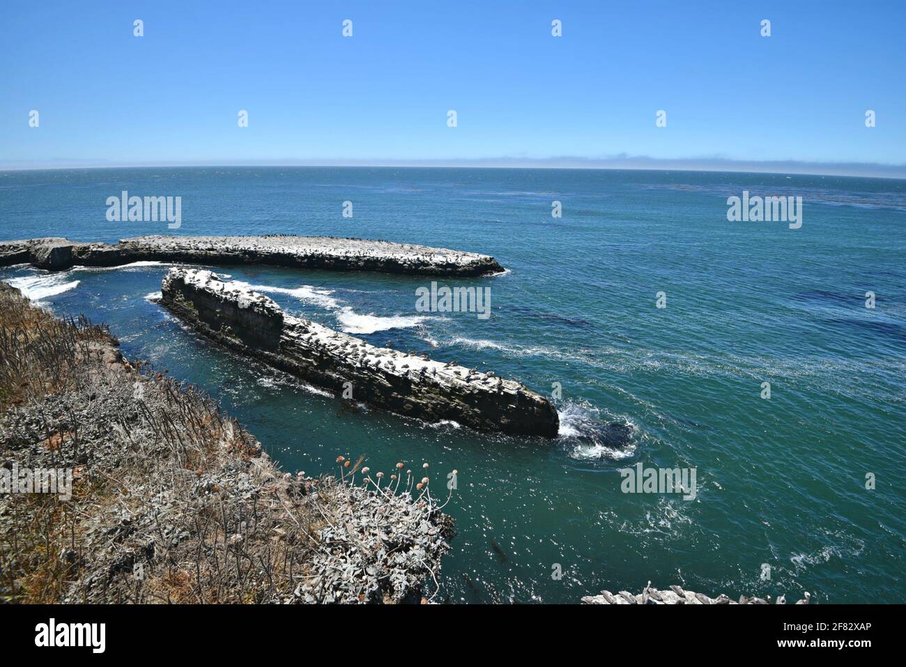 Fern grotto california hi-res stock photography and images - Alamy