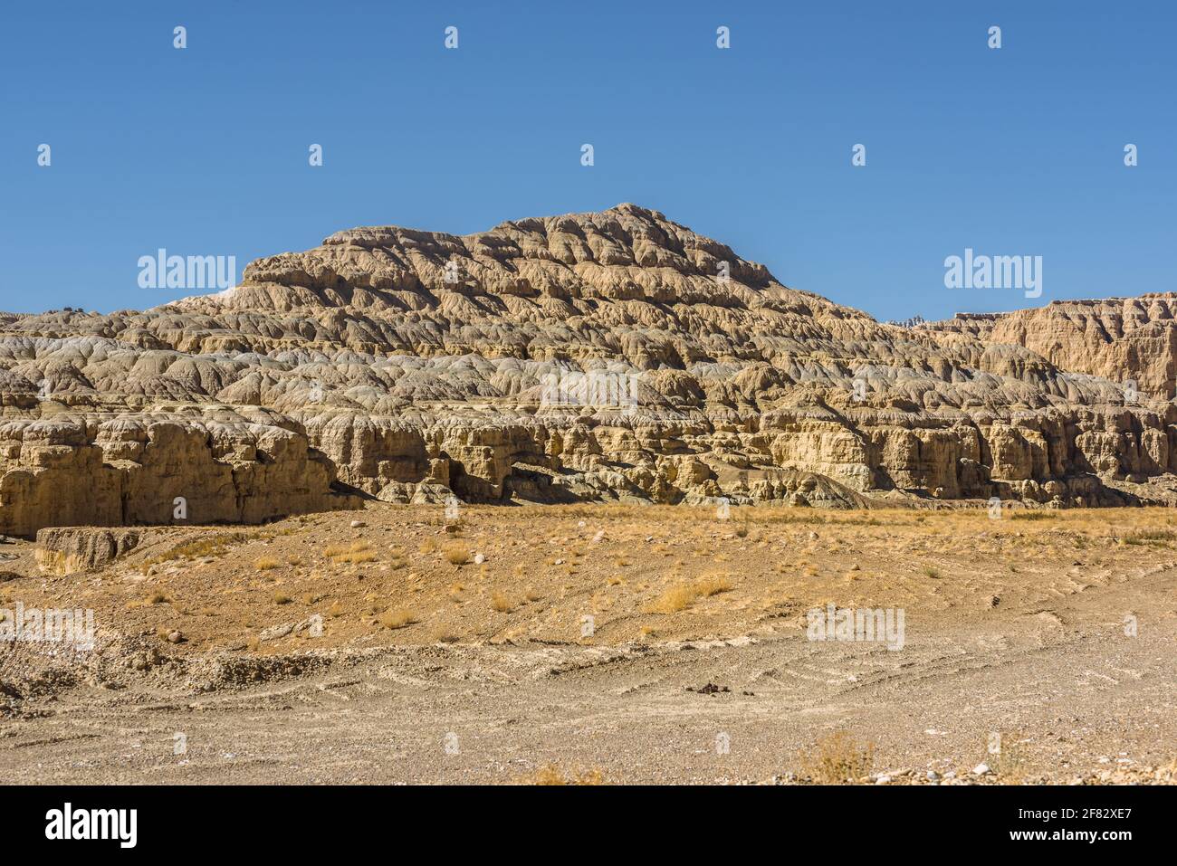 Eroded landscape and rock towers in Zanda soil forest Stock Photo - Alamy