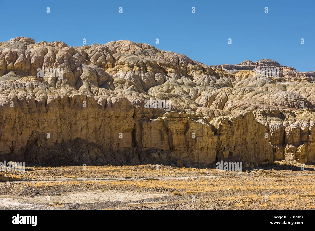 Eroded landscape and rock towers in Zanda soil forest Stock Photo - Alamy