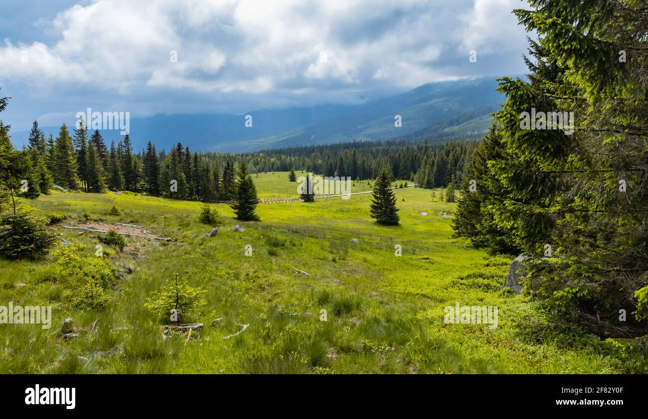 Panorama of Giant Mountains next to trail to Sniezka Stock Photo - Alamy
