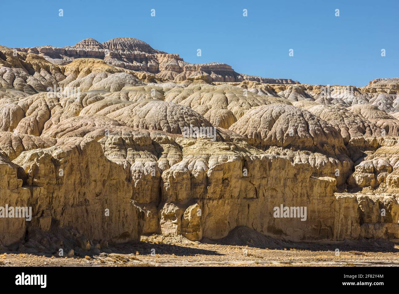 Eroded landscape and rock towers in Zanda soil forest Stock Photo - Alamy