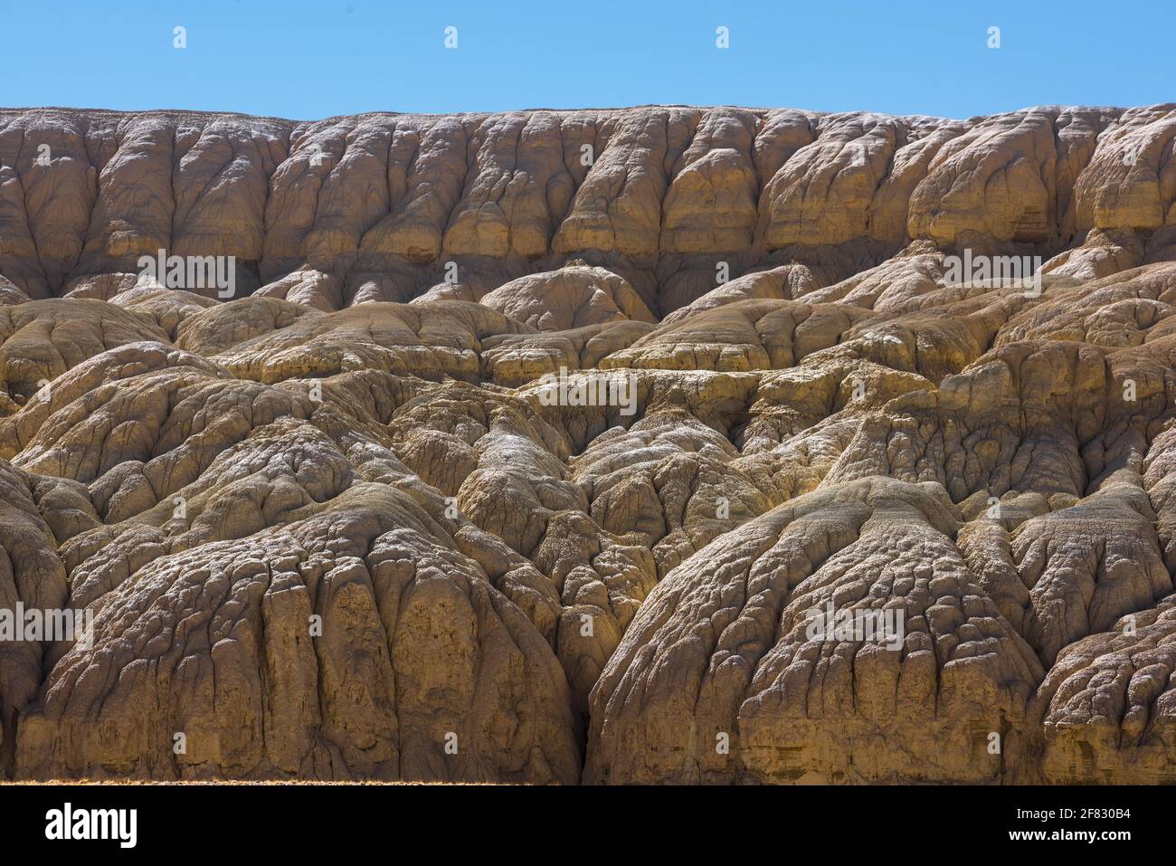 Eroded landscape and rock towers in Zanda soil forest Stock Photo - Alamy