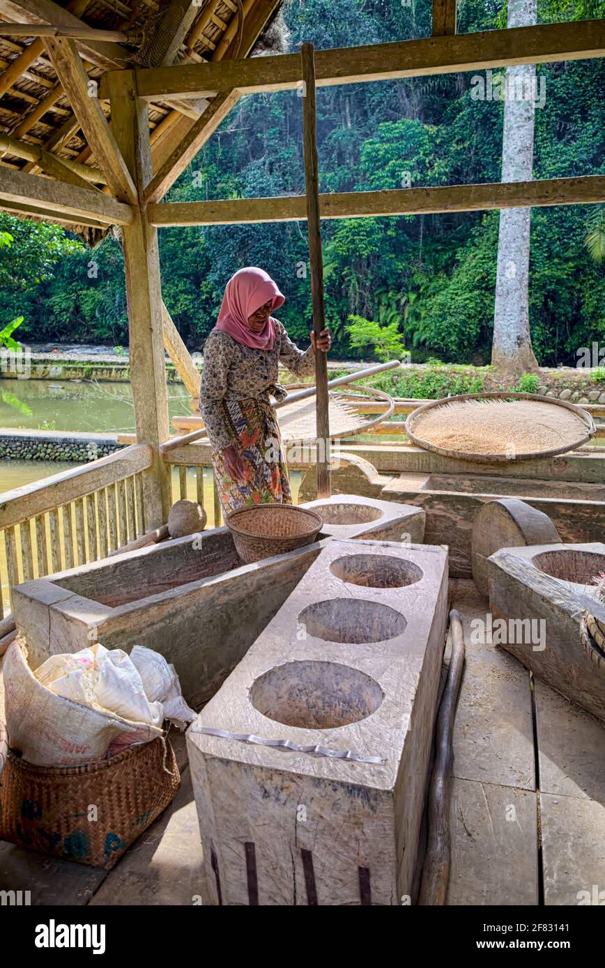 Modern diesel powered rice hullers are not used an element of Kampung ...