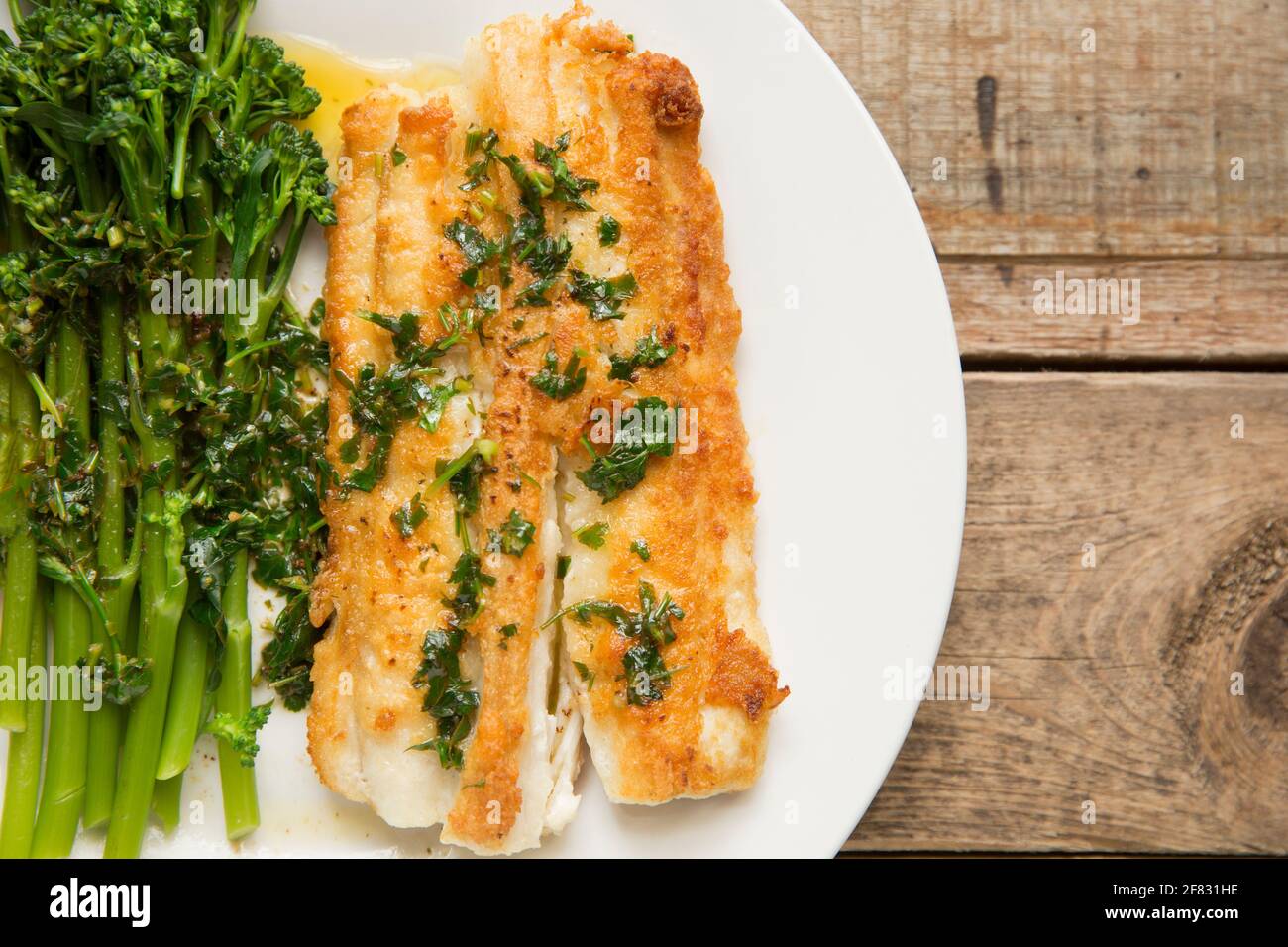 Mustelus hi-res stock photography and images - Alamy