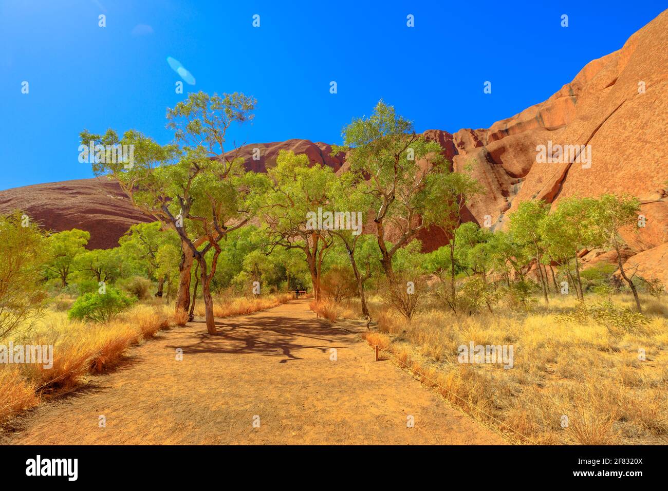 Sand footpath and bush vegetation in winter season at Uluru Mala Walk ...