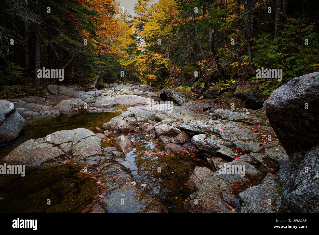 Fall Season in New Hampshire Stock Photo - Alamy