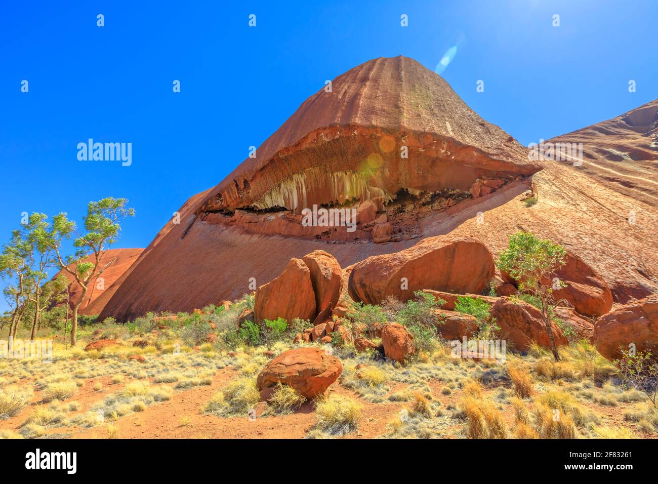 Central Australian landscape with bush vegetation along Lungkata walk ...