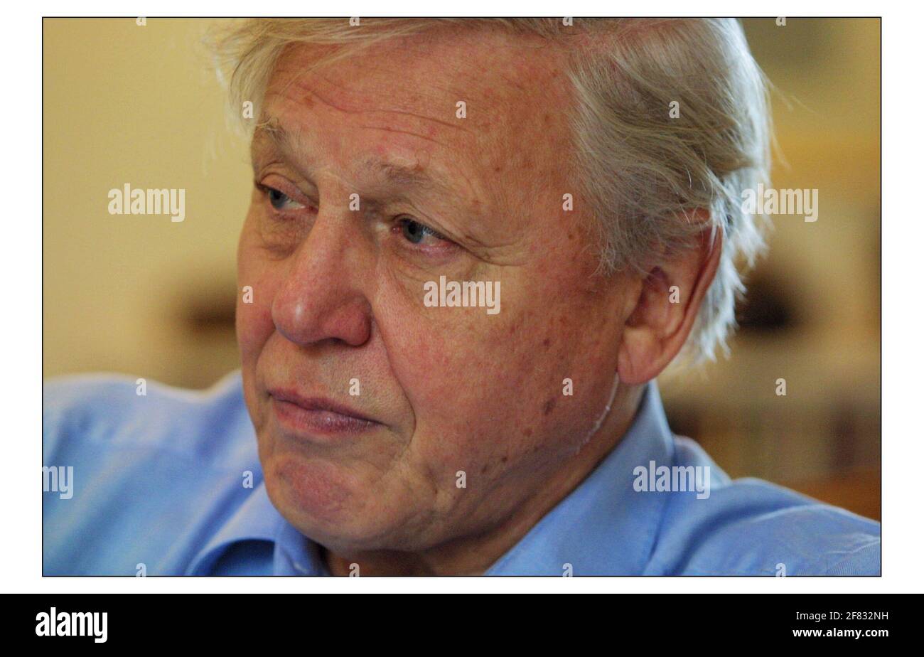 Sir David Attenborough at his home in Richmond.pic David Sandison 6/11 ...