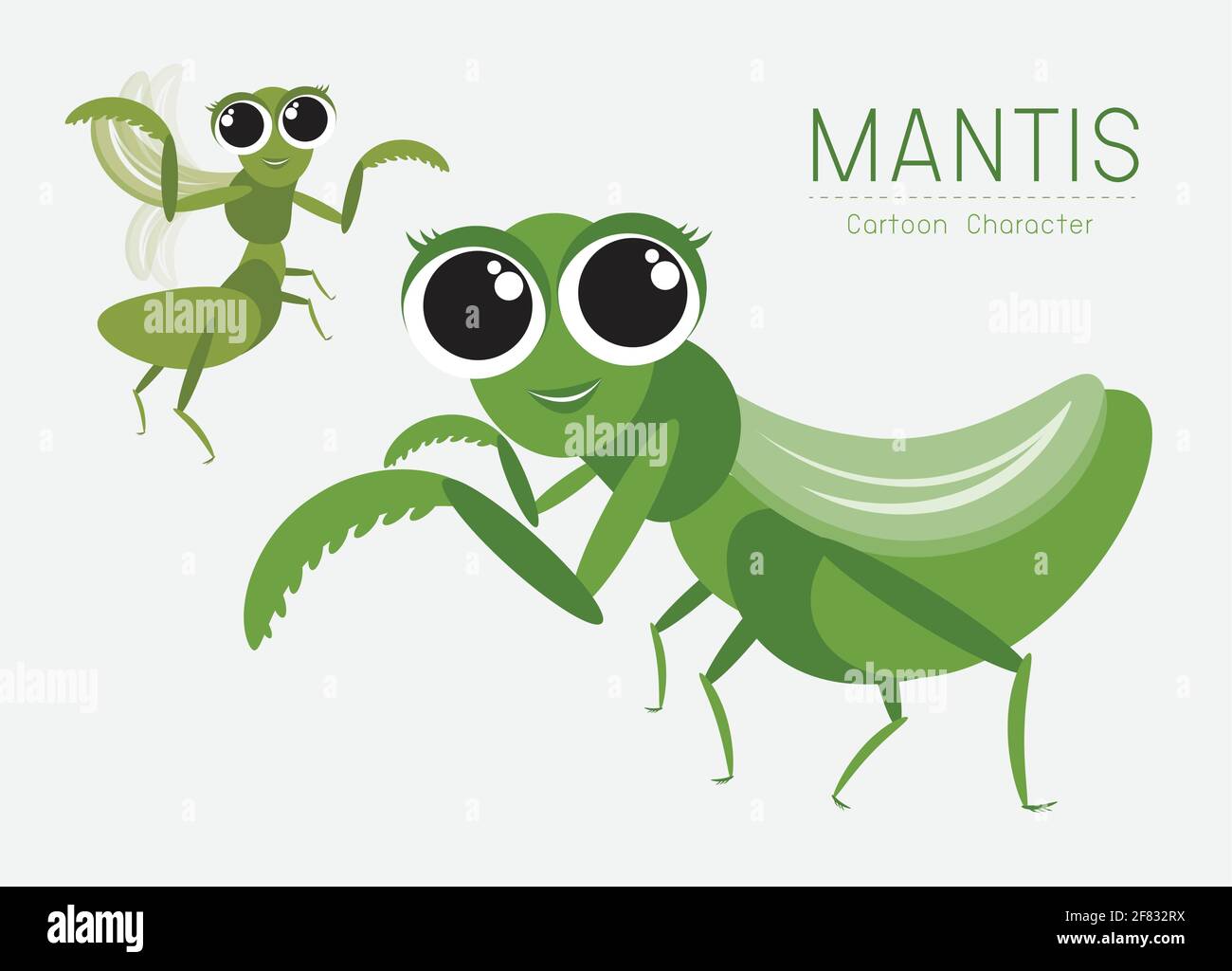 Green praying mantis with white background Stock Vector Images - Alamy