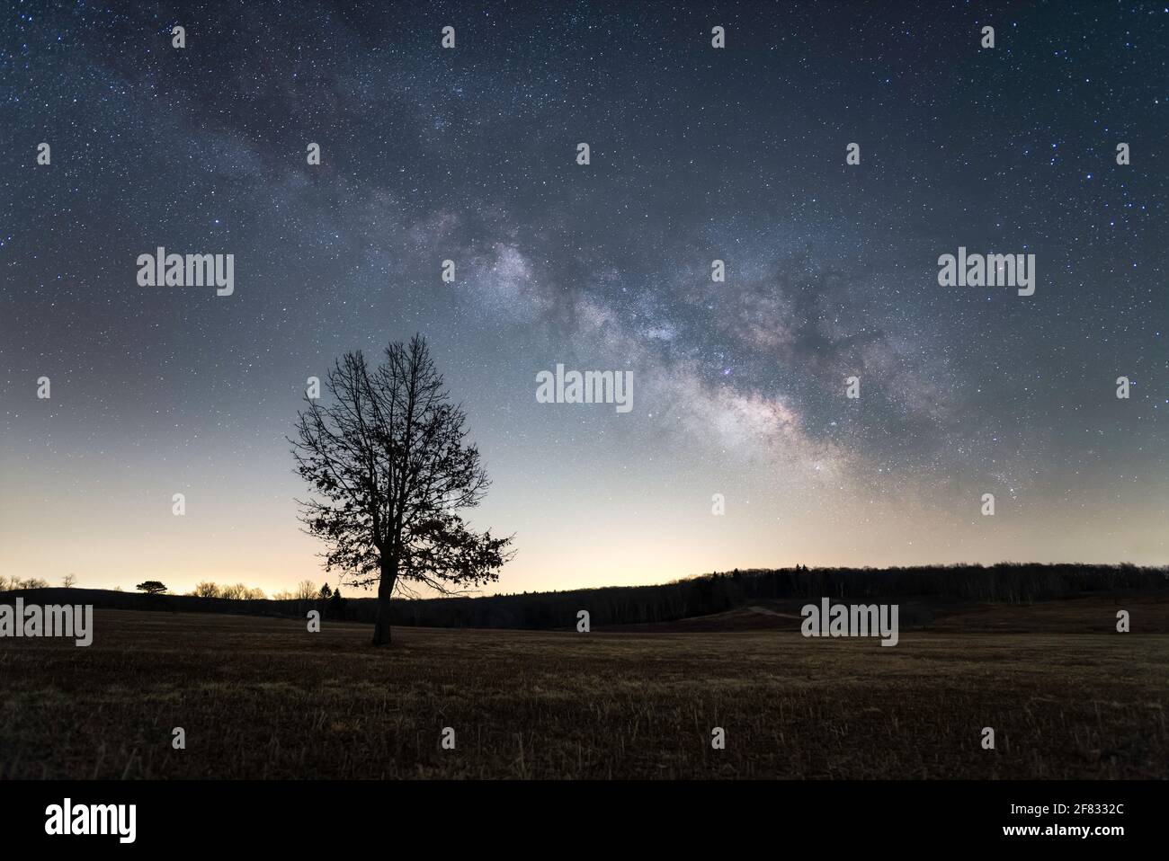 A tree silhouettes against a light polluted sky in Shenandoah National ...