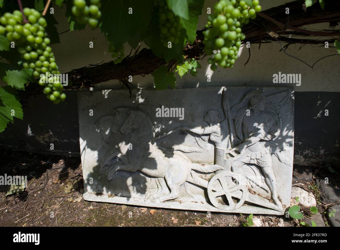 An replica on ancient bas-relief of warrior on chariot, under vine with ...