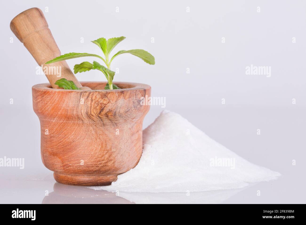 Natural sweetener in powder from stevia plant - Stevia rebaudiana Stock ...