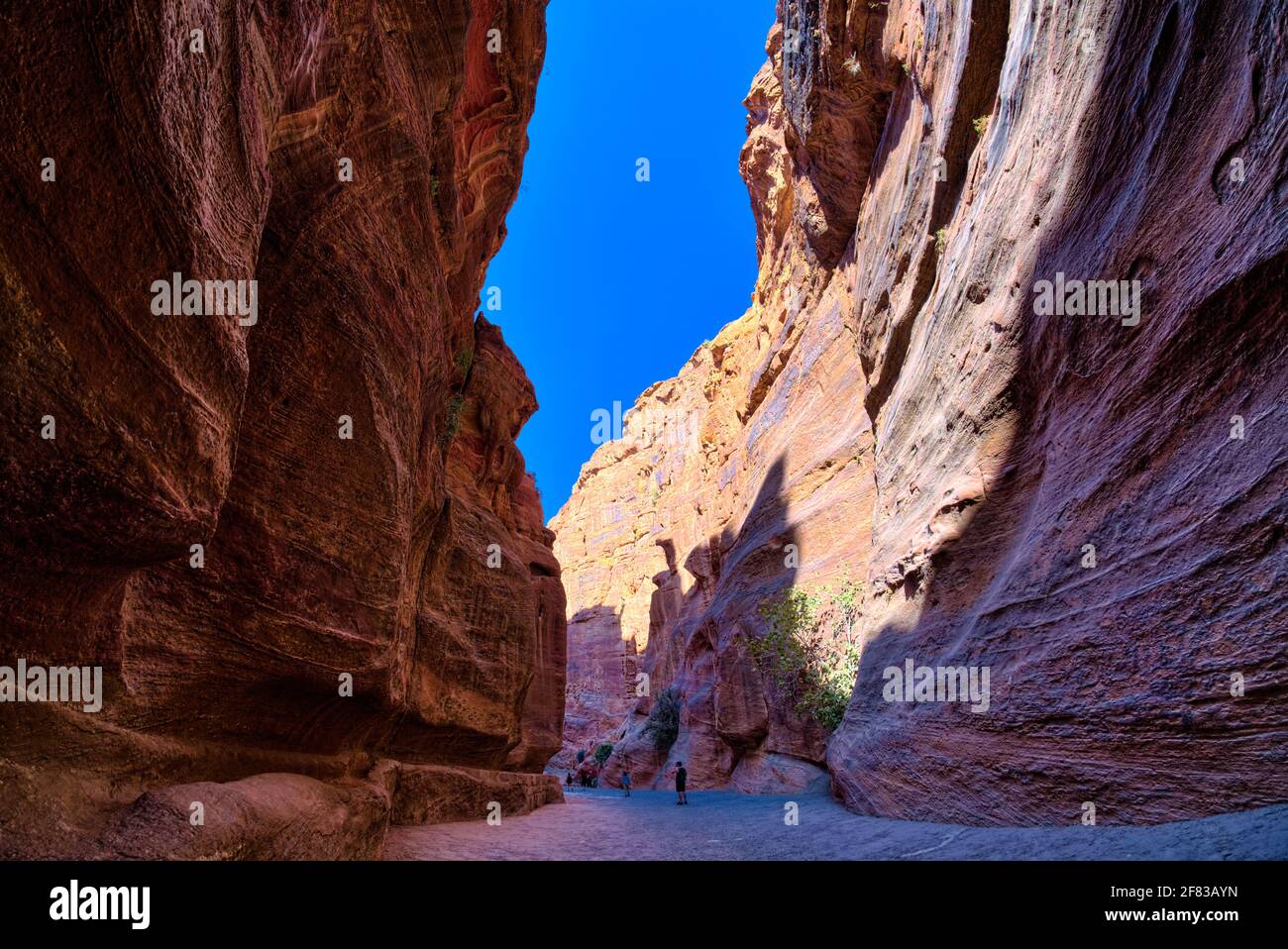 Petra got its name from a feminine Greek word “Petros” which means ...