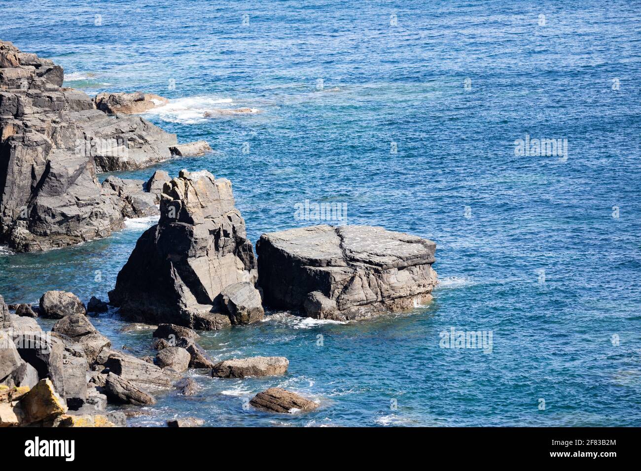 Lizard point spring hi-res stock photography and images - Alamy