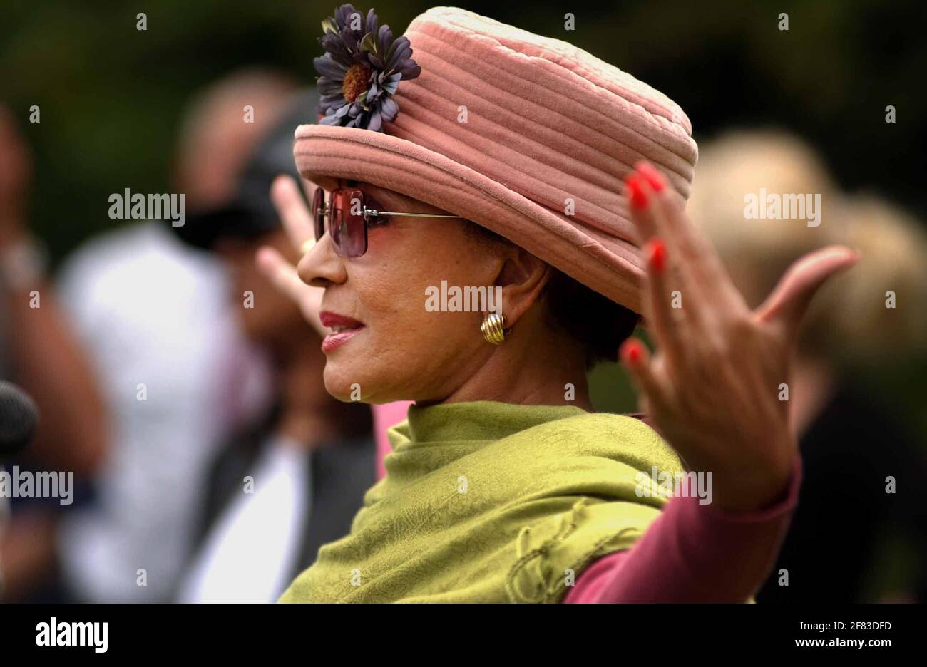 SHIRLEY BASSEY IN HYDE PARK WHERE THEY WILL PERFORM TOMORROW.29/6/02 ...