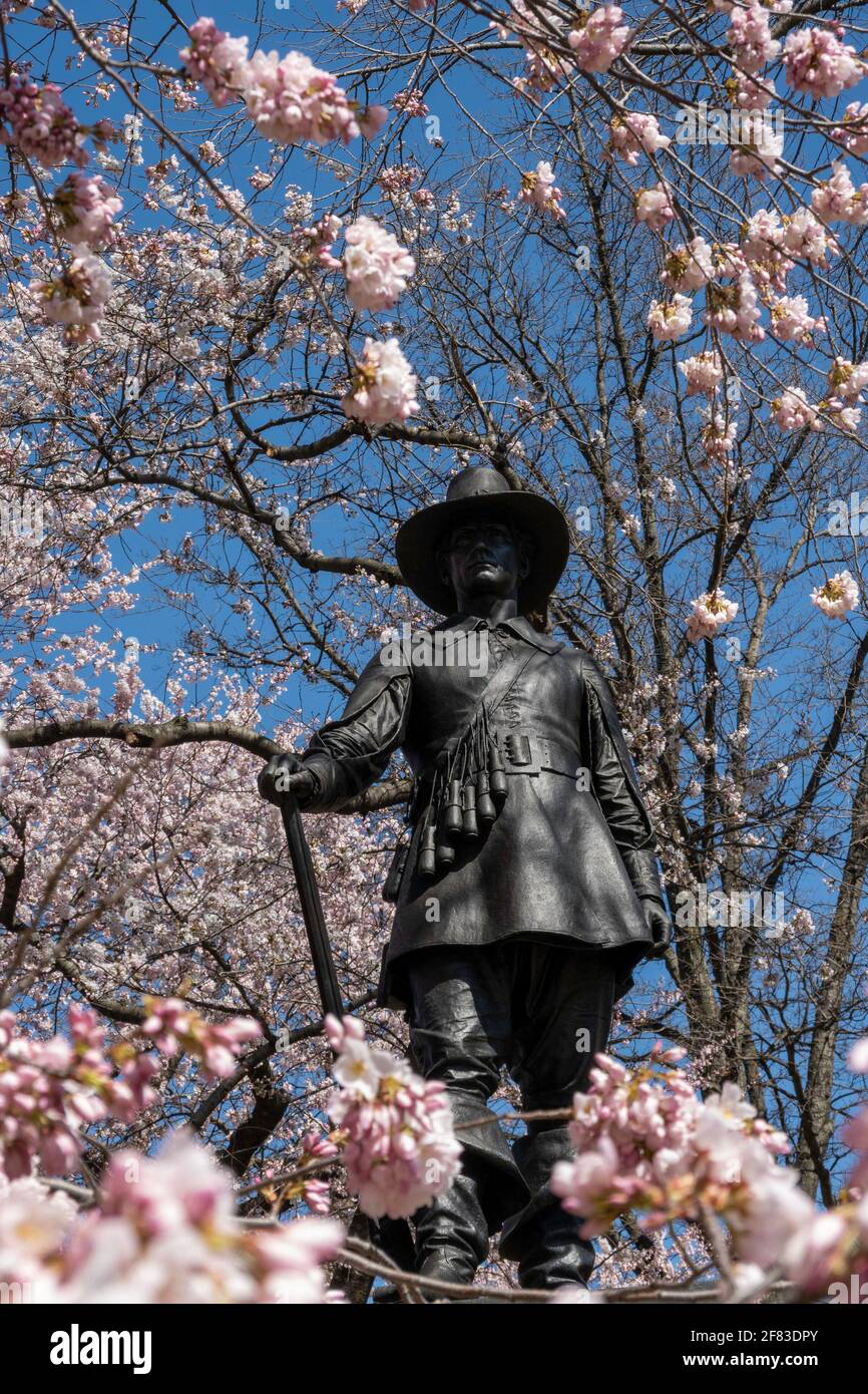 The Pilgrim Statue, Pilgrim Hill, Central Park, NYC Stock Photo - Alamy