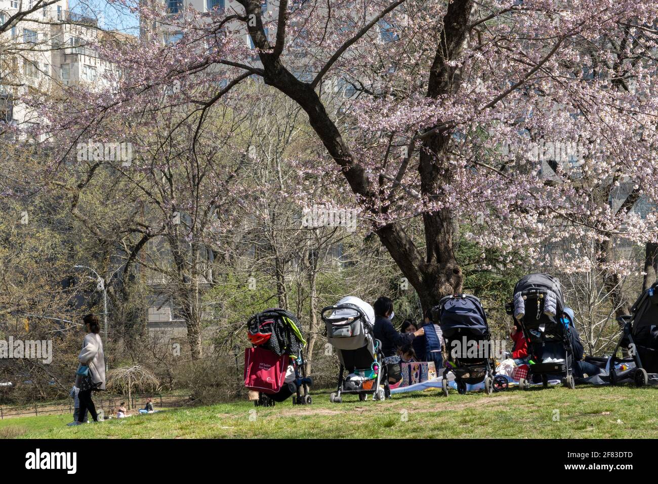 The Pilgrim Statue, Pilgrim Hill, Central Park, NYC Stock Photo - Alamy
