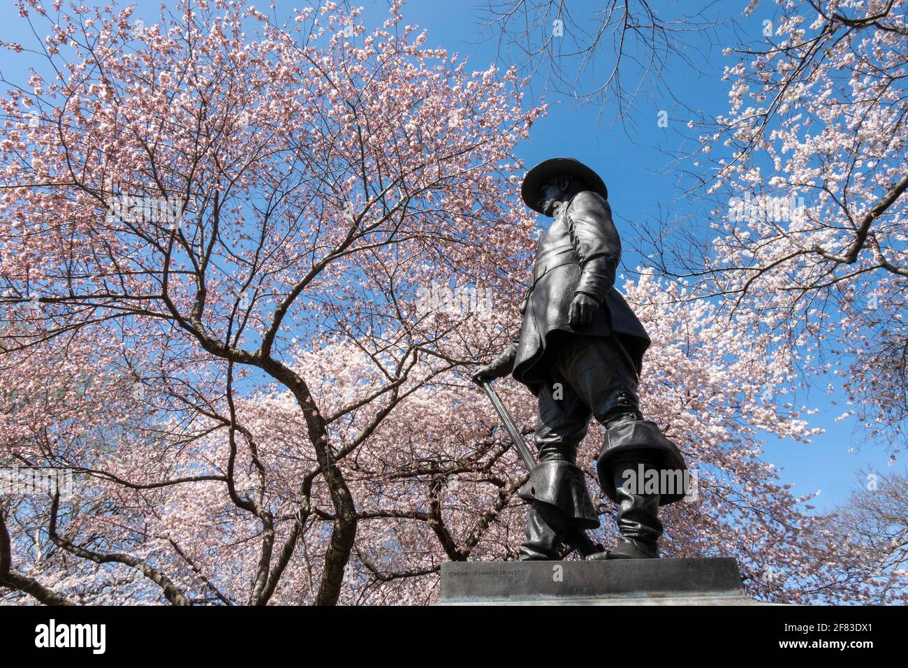 The Pilgrim Statue, Pilgrim Hill, Central Park, NYC Stock Photo - Alamy