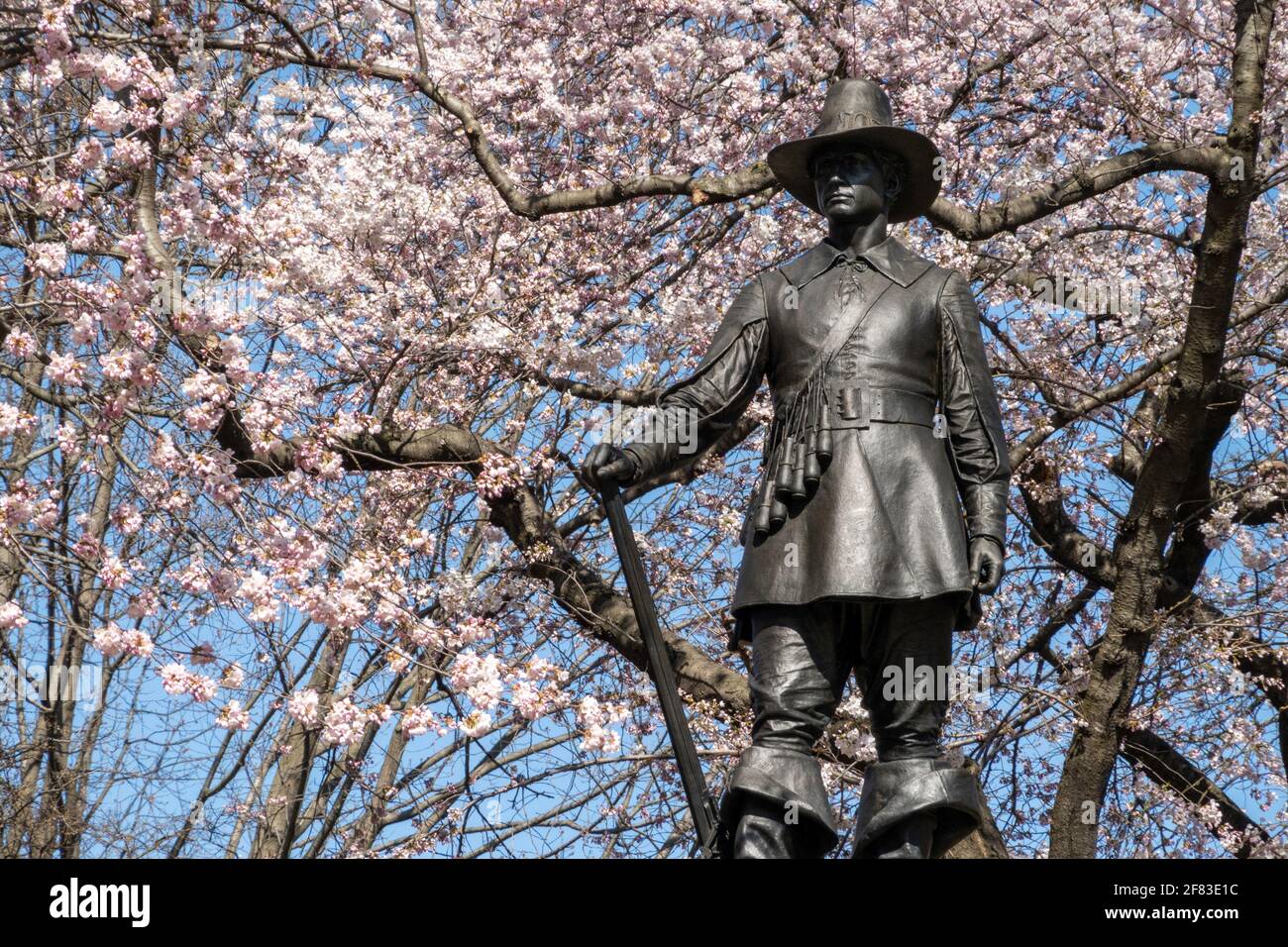 The Pilgrim Statue, Pilgrim Hill, Central Park, NYC Stock Photo - Alamy
