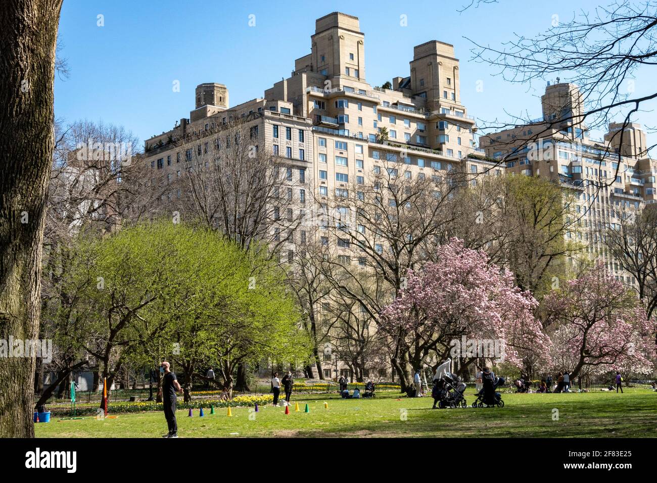 Central Park is beautiful in the springtime, NYC, USA Stock Photo - Alamy