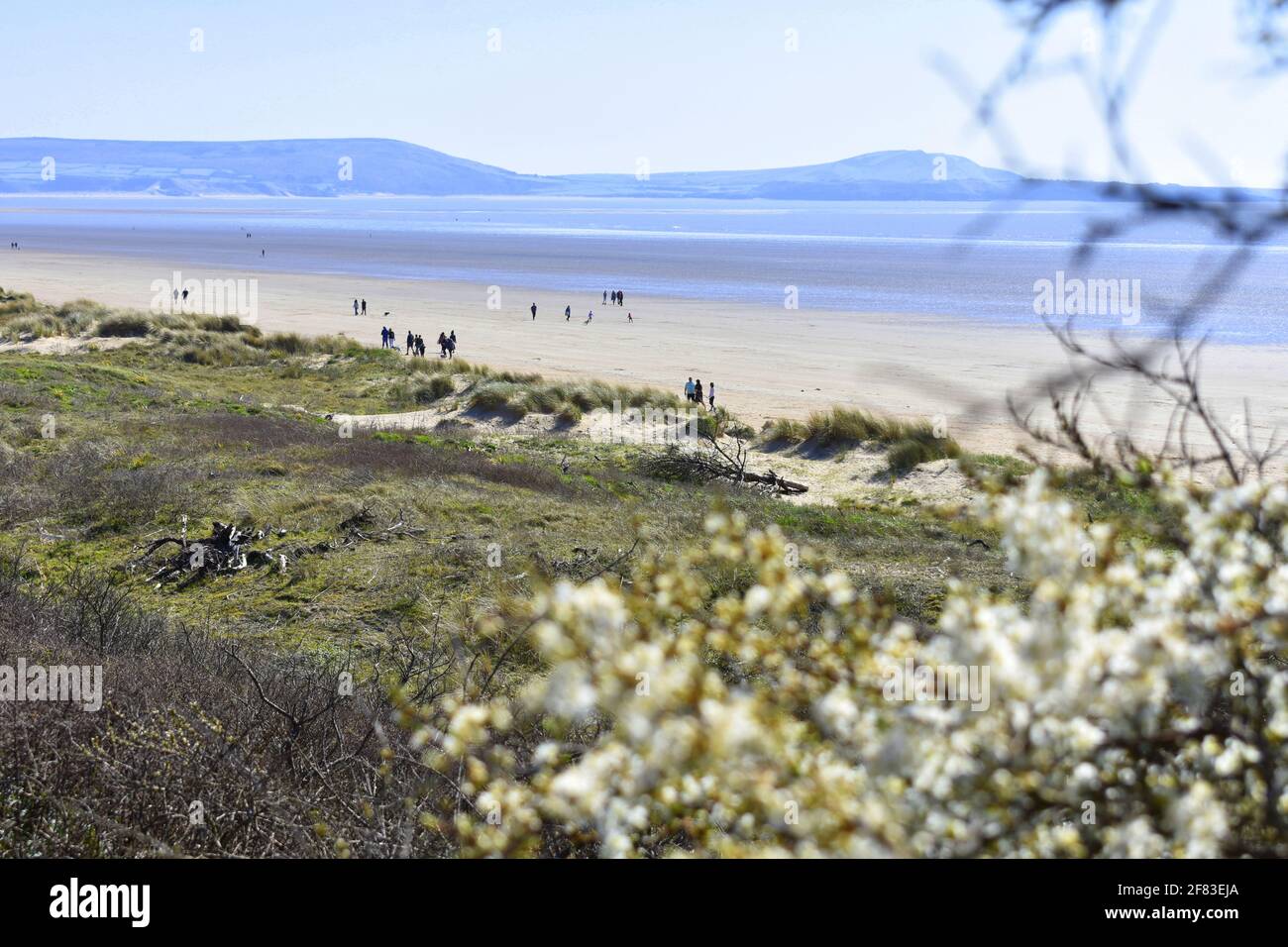 Cefn sidan, pembrey hi-res stock photography and images - Alamy