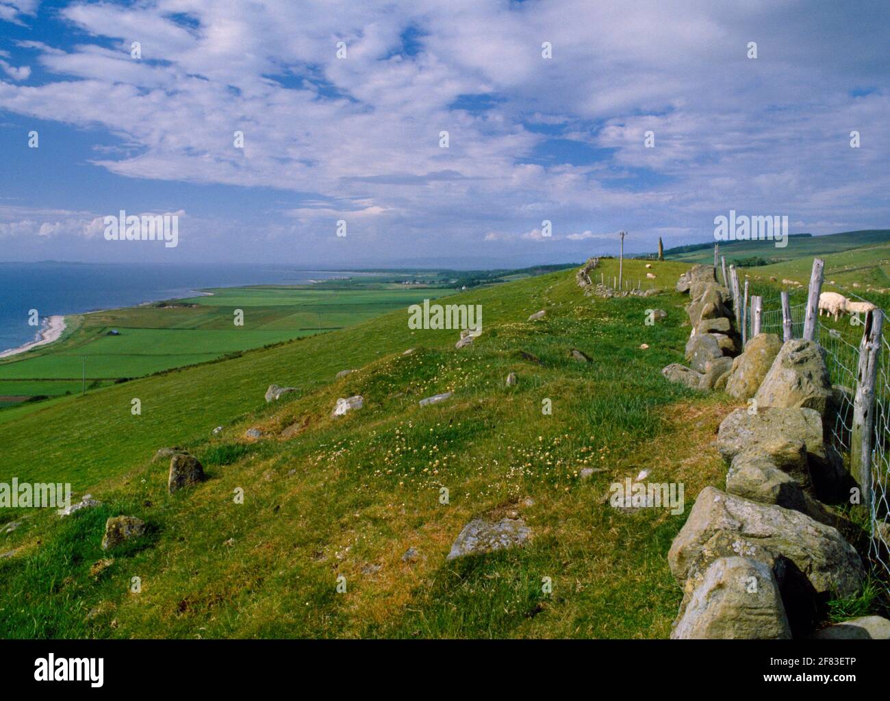 Beacharra (Beacharr) standing stone, Kintyre, Scotland, UK, looking N ...
