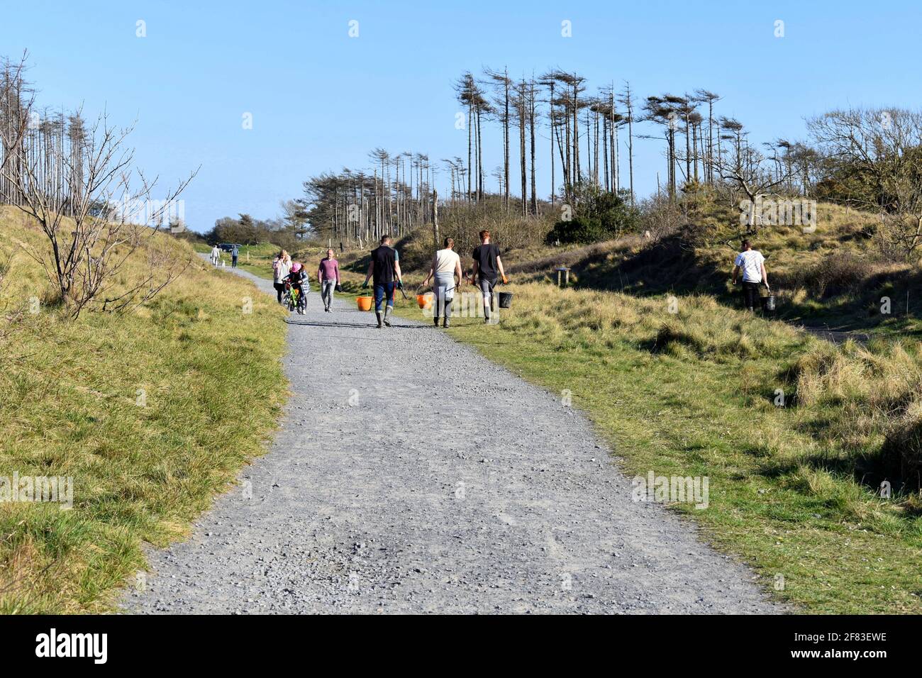 Pembrey country park wales hi-res stock photography and images - Alamy