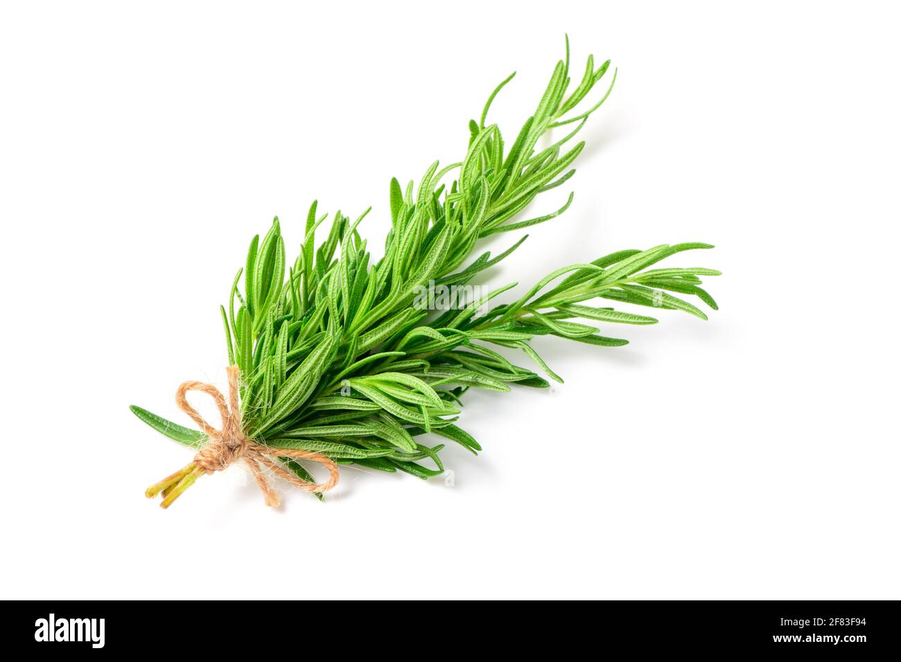 Branch of fresh rosemary isolated on white background. Rosemary is a ...