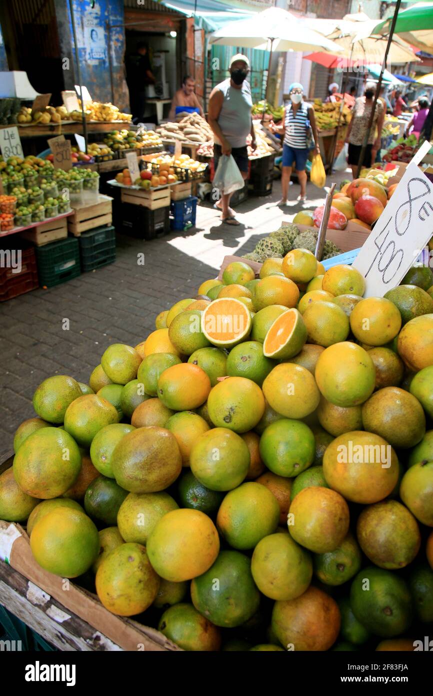salvador, bahia, brazil - january 27, 2021: orange fruits are seen for ...
